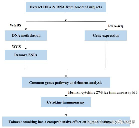 文献解读|WGBS和RNA-seq揭示与吸烟有关的免疫相关疾病的表观遗传机制 - 知乎