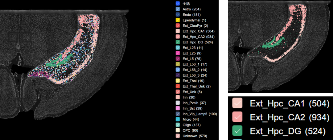 新品上线 | 贝瑞基因引进SeekSpace®单细胞空间转录组！ - 知乎