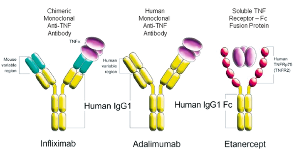 抗体测序为抗体治疗研究提供新路径 - 知乎