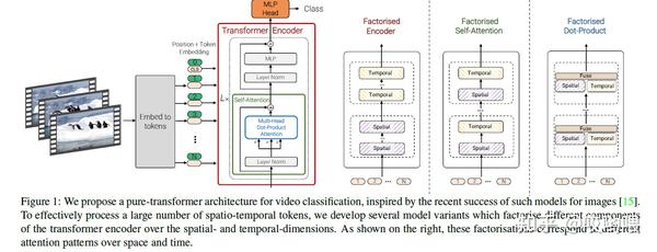 VIVIT：A video vision transformer - 知乎