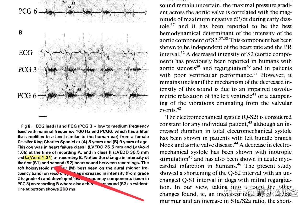 犬心脏瓣膜病，不靠谱的MMVD指南 - 知乎