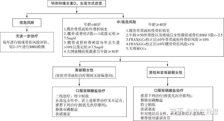 糖皮质激素性骨质疏松症 (Glucocorticoid-Induced Osteoporosis, GIOP)预防和治疗 - 知乎