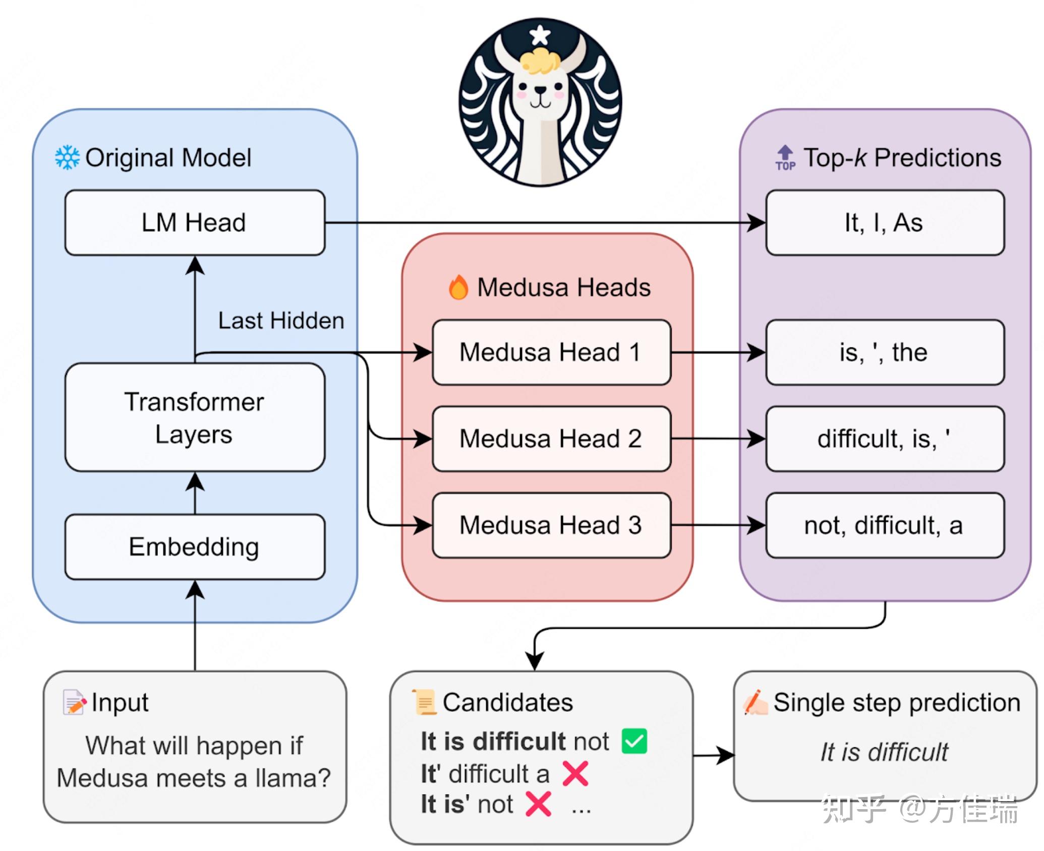 LLM推理加速之Medusa：Blockwise Parallel Decoding的继承与发展 - 知乎