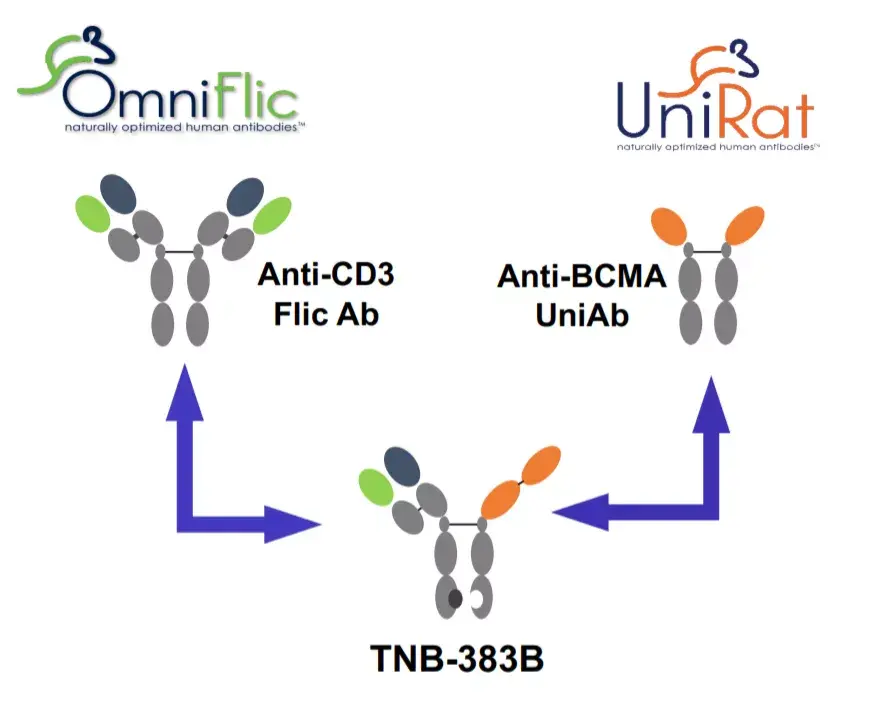 安进以25亿美元收购Teneobio公司，夯实新型抗体药物领导地位-MedSci.cn