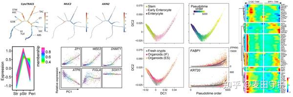 系统的跟着18篇CNS文章学单细胞多组学分析（含空间转录组、chipseq、RNAseq、Atacseq和外显子） - 知乎