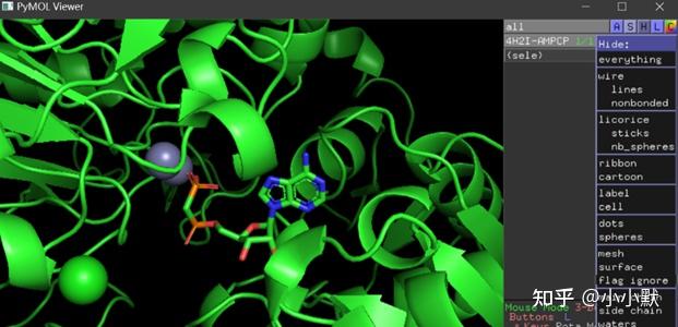 Pymol绘图教程（自用） - 知乎