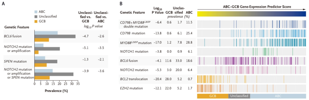 世界淋巴瘤日｜基因变异分型推进“弥漫性大B细胞淋巴瘤”精准治疗 - 知乎