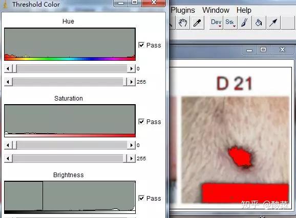 如何用ImageJ进行面积分析？ - 知乎