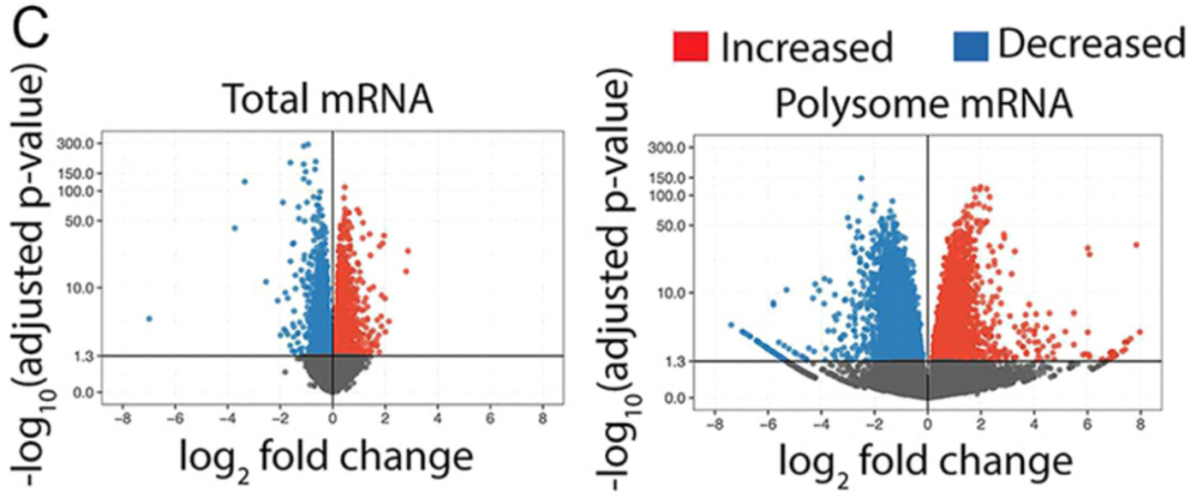 新品上市 | Polysome-seq翻译组测序，评估翻译效率的“黄金标准” - 知乎