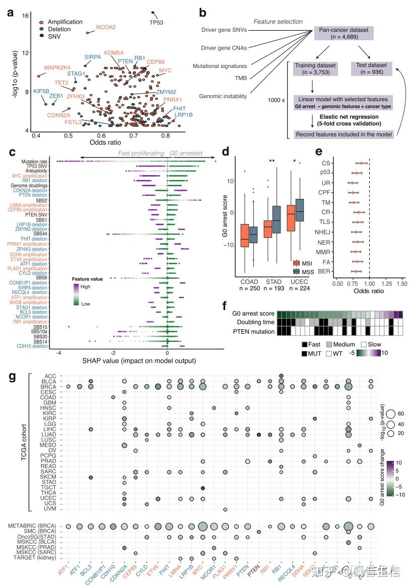 生信分析新热点！-细胞G0期 - 知乎