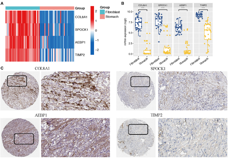 最新思路——巧用WGCNA分析GEO和TCGA数据，文章轻松上5分 - 知乎