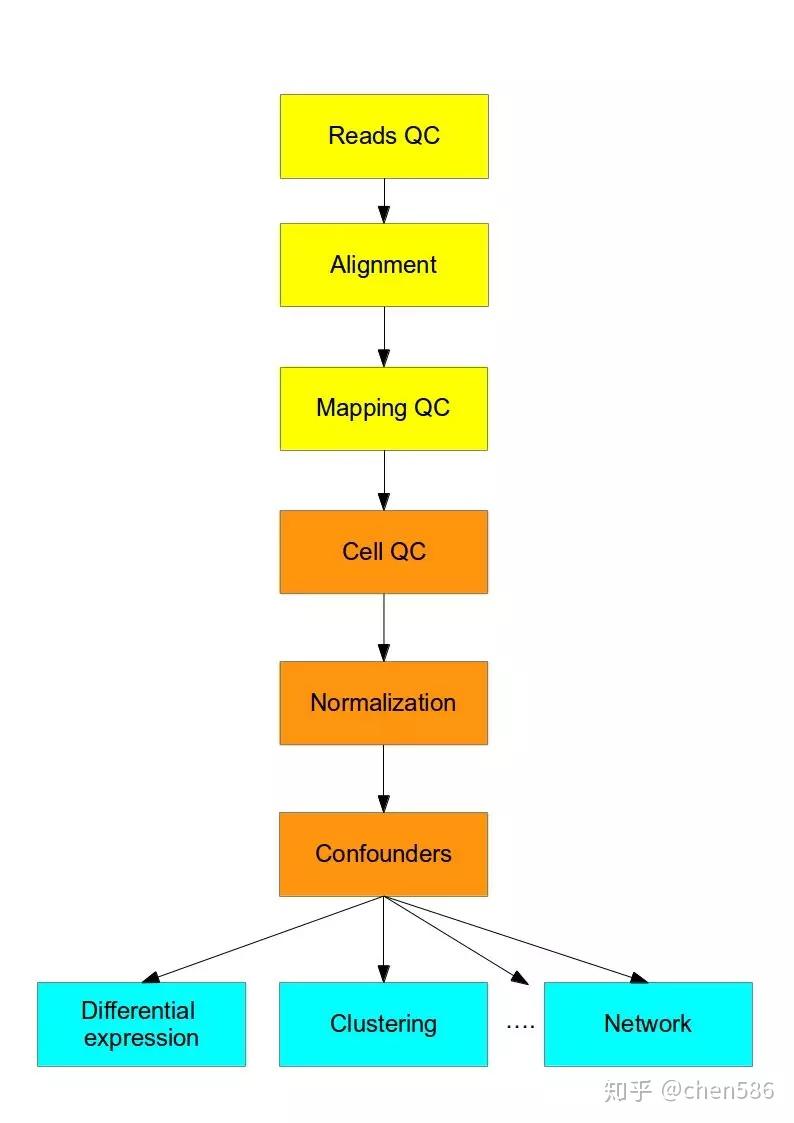 Hemberg-lab单细胞转录组数据分析（一） - 知乎