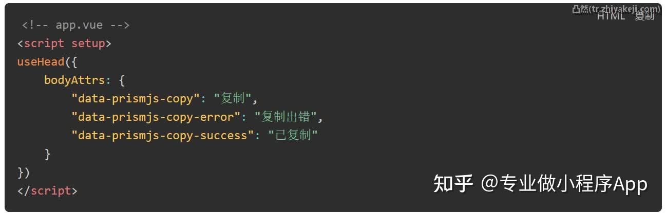 Prismjs插件在nuxt3中的使用 知乎