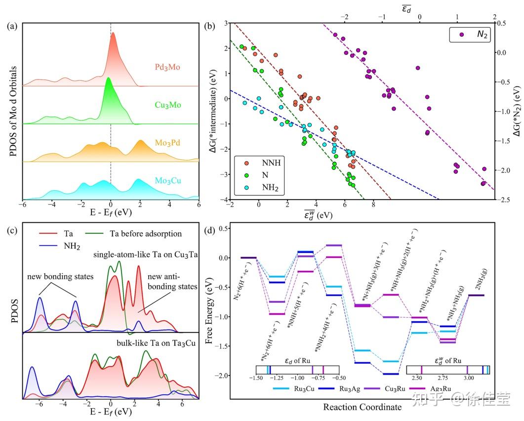湖南大学袁定旺教授团队最新ACS catal.：通过干扰线性比例关系提升有序双金属催化剂对氮还原反应的催化活性 - 知乎