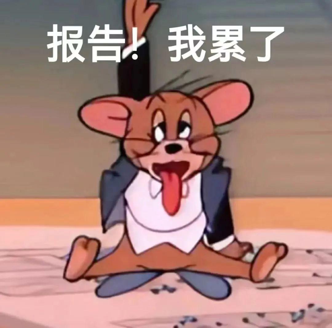 大学生实用的表情包 - 知乎