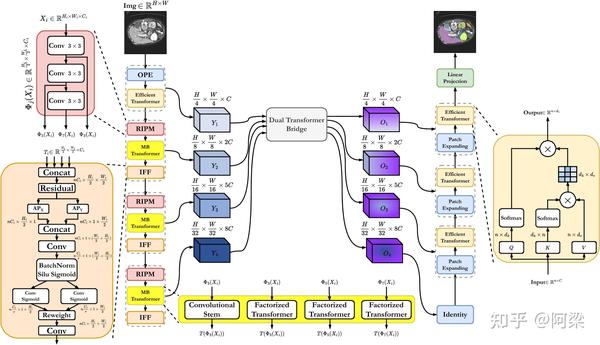 Enhancing Medical Image Segmentation with TransCeption: A Multi-Scale Feature Fusion Approach - 知乎