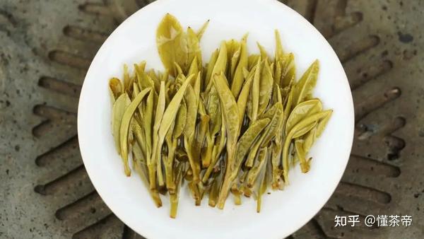叶底原来藏着这么多你不知道的秘密! 知乎