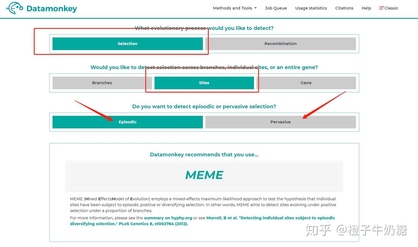 简单易懂的在线网站datamonkey：支系、基因、位点的选择压力检测 - 知乎