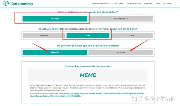 简单易懂的在线网站datamonkey：支系、基因、位点的选择压力检测 - 知乎