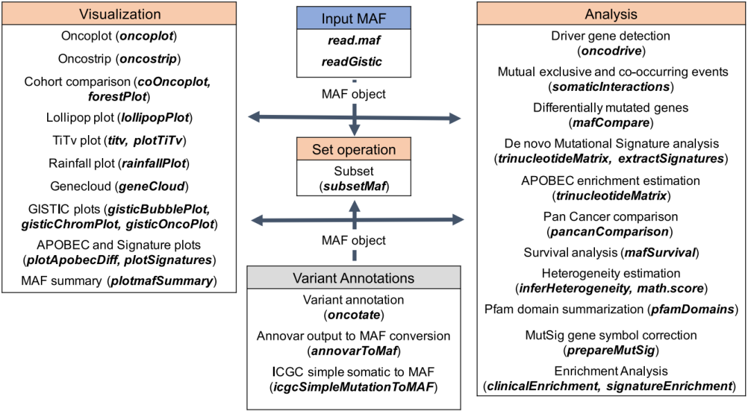 一文学会R包 maftools 简介使用 - 知乎