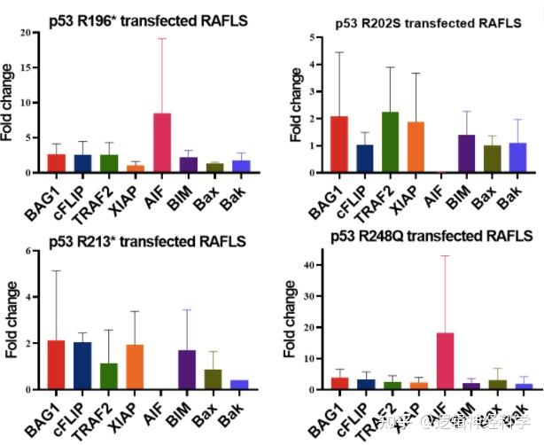 Genes Dis︱澳门科技大学黄锦伟/刘良等揭示p53突变在类风湿性关节炎患者甲氨蝶呤耐药中的潜在机制 - 知乎
