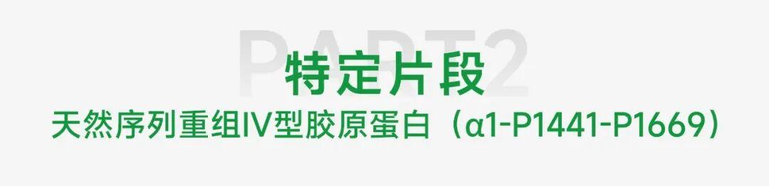 革新突破丨天然序列重组IV型胶原蛋白(α1-P1441-P1669) ，探寻热损伤修复的「无人之境」 - 知乎