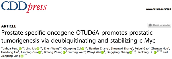 Cell Death Differ︱龙建纲/刘健康/张令强合作报道前列腺特异性癌基因OTUD6A促进前列腺癌发生机制 - 知乎