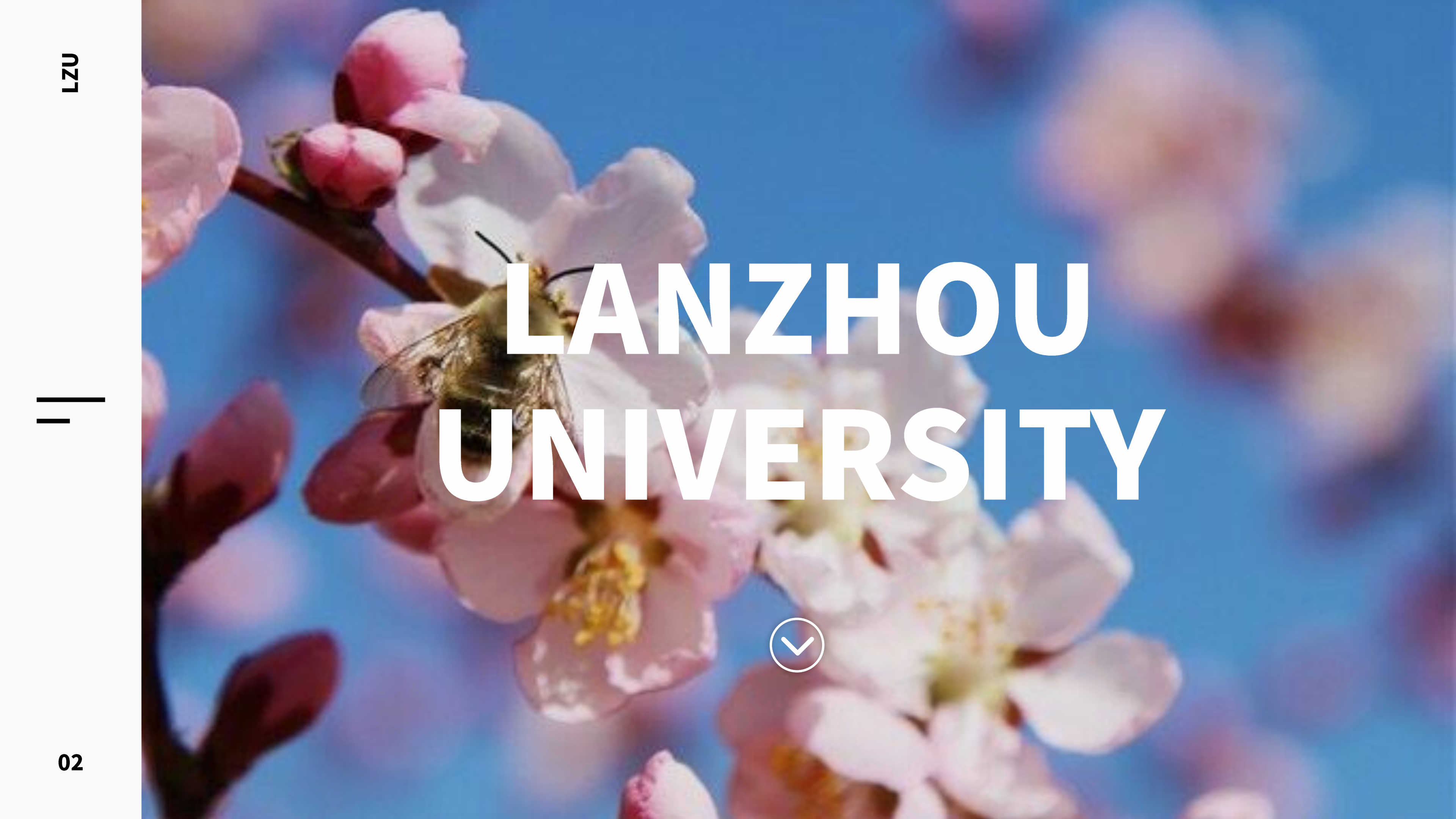 兰州大学PPT模板 - 知乎
