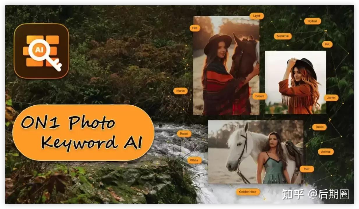 [WIN]ON1 Photo Keyword AI 2023.5 (照片管理工具) 17.5.1 x64 简体中文特别版介绍 - 知乎