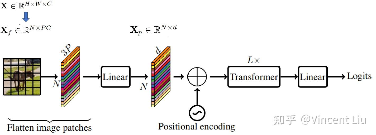 视觉 Transformer：从 ViT 到 MobileViT - 知乎