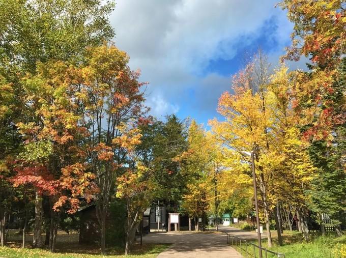 北海道道东||好多人去北海道，我去的是秘境 - 知乎