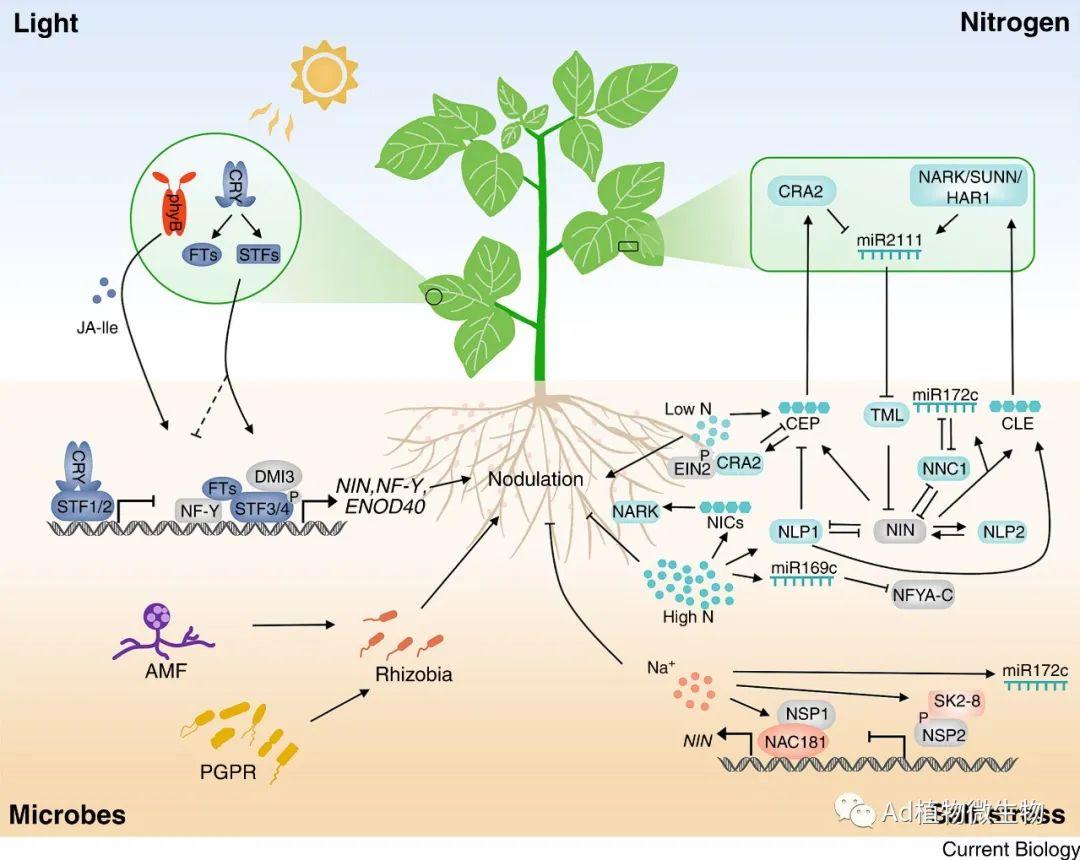 Current Biology current-biology