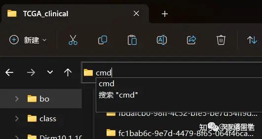 TCGA临床数据提取，三种方法任你选择！ - 知乎