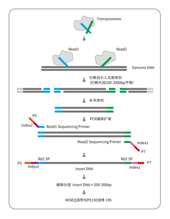 快速高通量测序的黑马——Fast NGS - 知乎