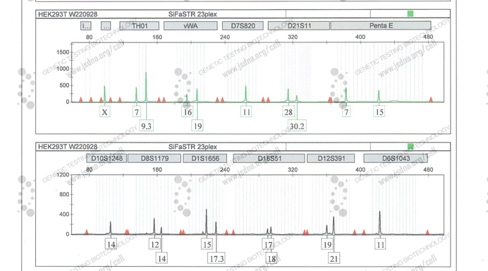细胞株鉴定(Cell Line Authentication) FAQs - 知乎