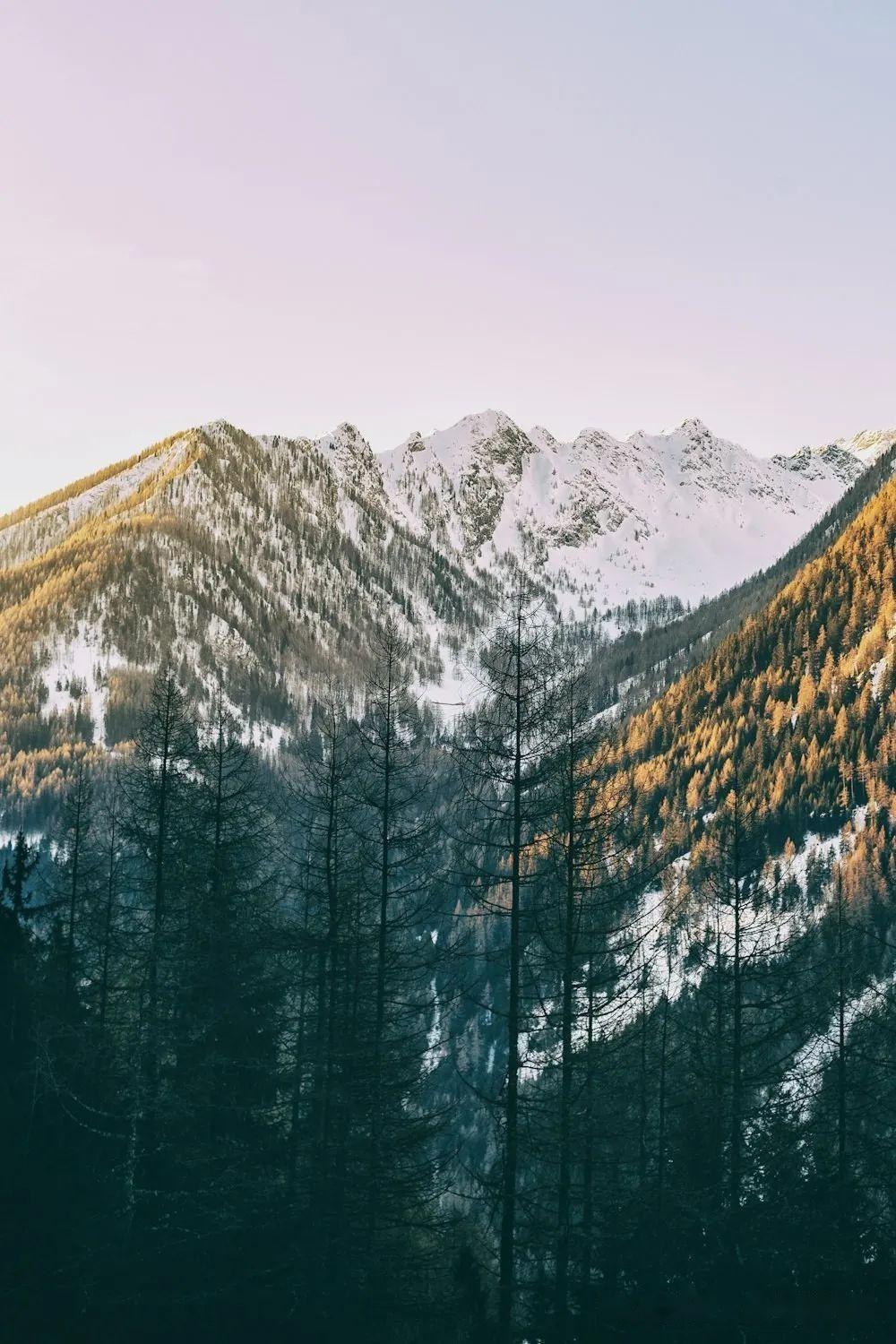 Linux Masquerade/SNAT/DNAT - 知乎