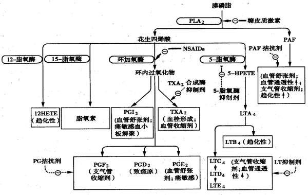 药理学04-2：解热镇痛抗炎药（NSAIDs） - 知乎