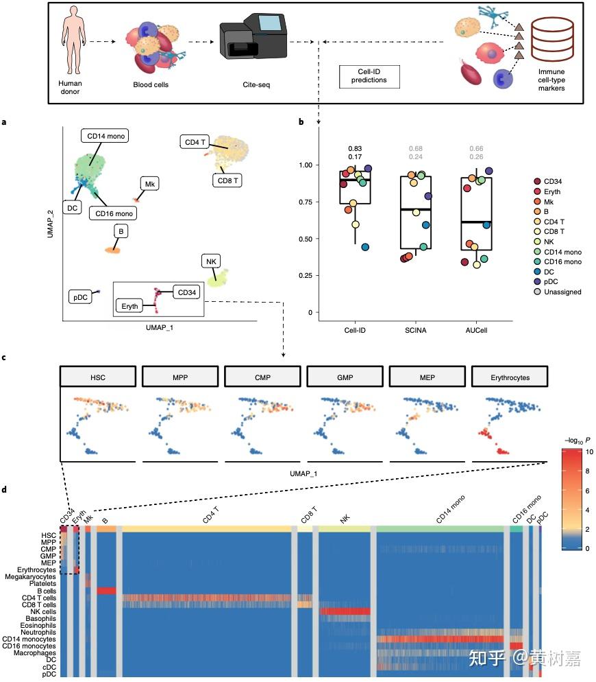 基于 Cell ID 的单细胞基因指纹特征提取和细胞身份识别的新方法 - 知乎
