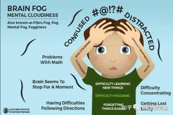 brain Fog brain Fog