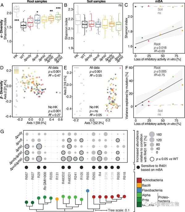 PNAS | 研究揭示让竞争微生物远离促使植物微生物群定殖的机制！ - 知乎