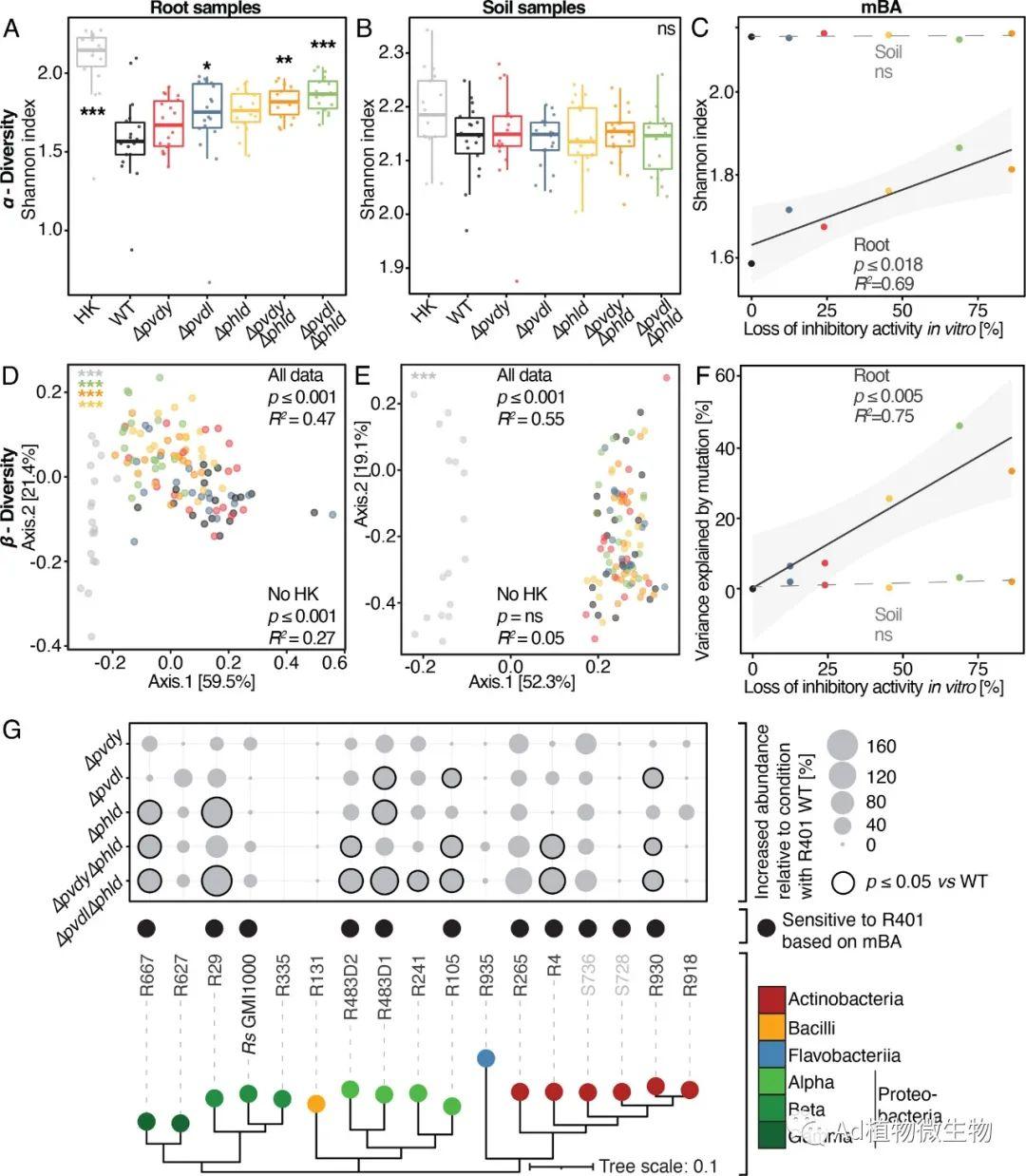 PNAS | 研究揭示让竞争微生物远离促使植物微生物群定殖的机制！ - 知乎