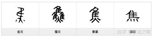焦——每日一字·隹部字 知乎