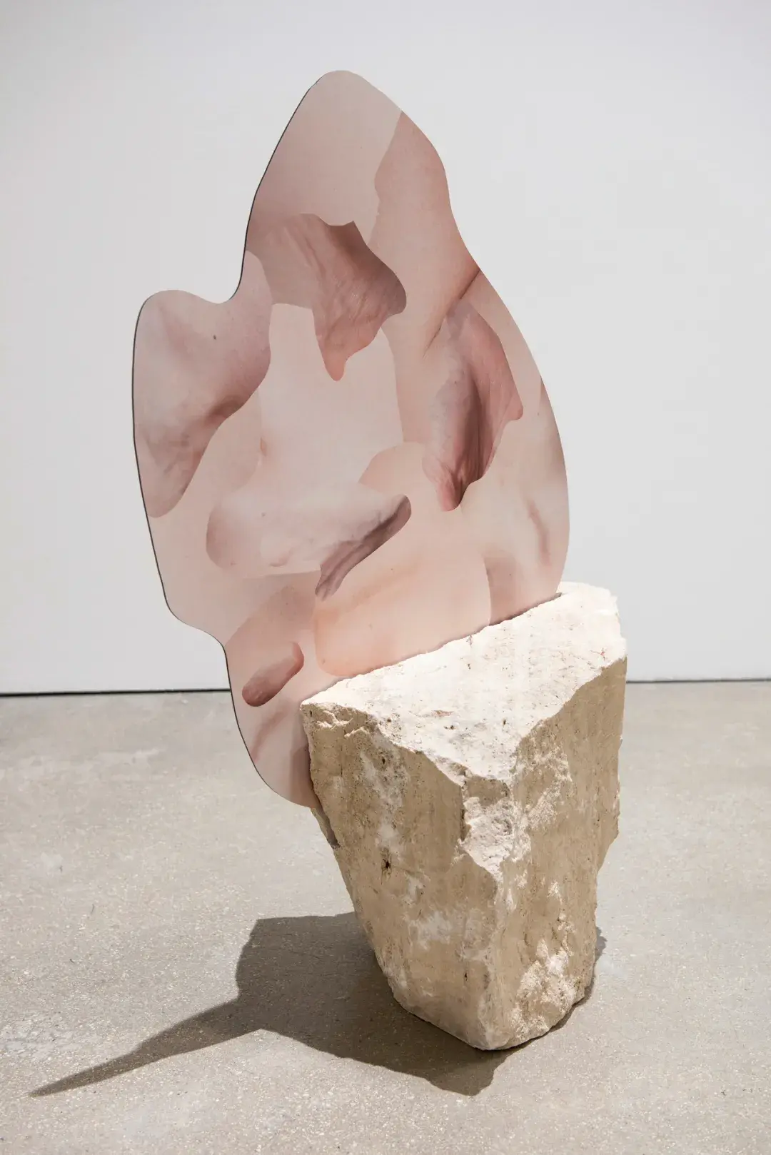 艺术家Rachel de Joode：后互联网时代的策展 - 知乎