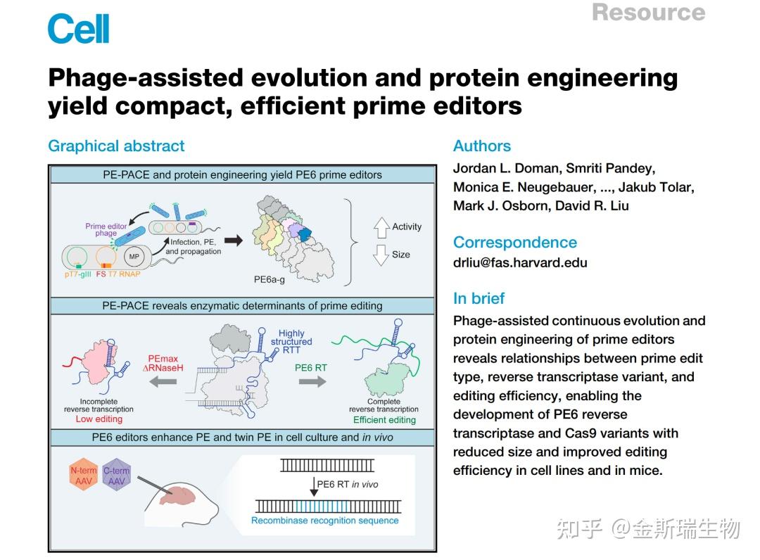 Cell重磅！金斯瑞基因助力David Liu开发高效先导编辑器，22倍效率提升 - 知乎