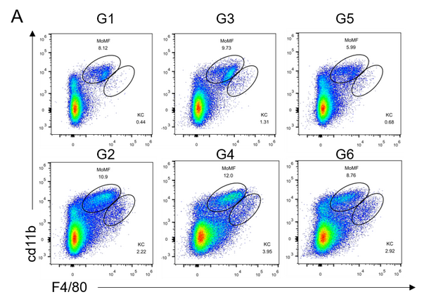 GAN饮食诱导NASH模型 | 老龄鼠再展新风采，助力NASH药物研发 - 知乎