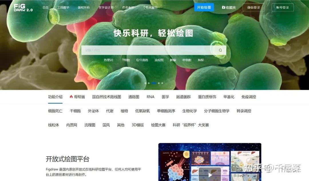 Figdraw：高效绘制科研图表的利器 - 知乎