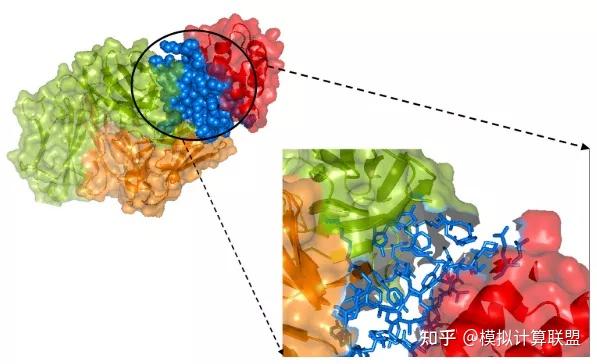 分子模拟||Pymol开源版安装步骤及教程 - 知乎