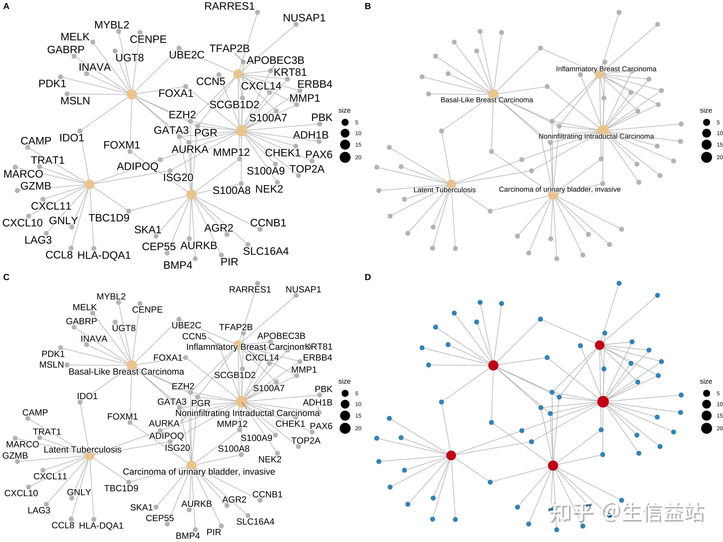 5分钟掌握疾病富集及其10种可视化方法 - 知乎