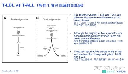 费城儿童医院Kersun教授：儿童T淋巴母细胞淋巴瘤的治疗进展 - 知乎