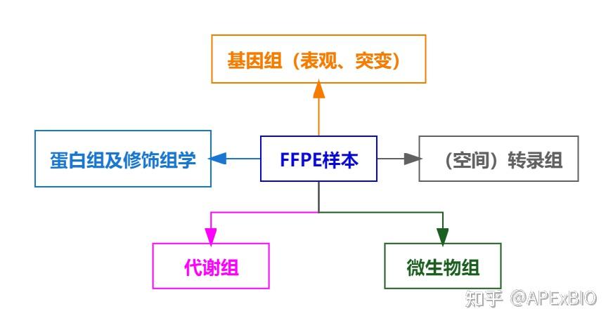 干货分享 | 一文带您全面了解FFPE样本 - 知乎